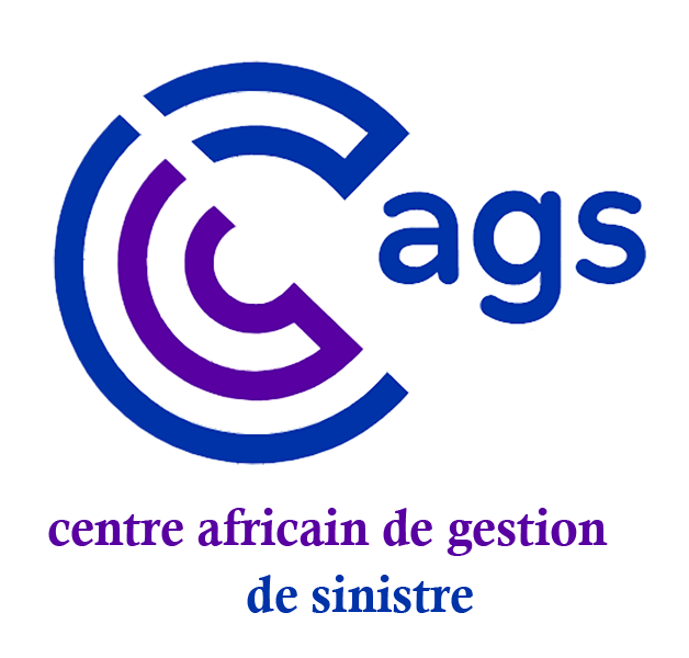 CAGS cdma-solutions